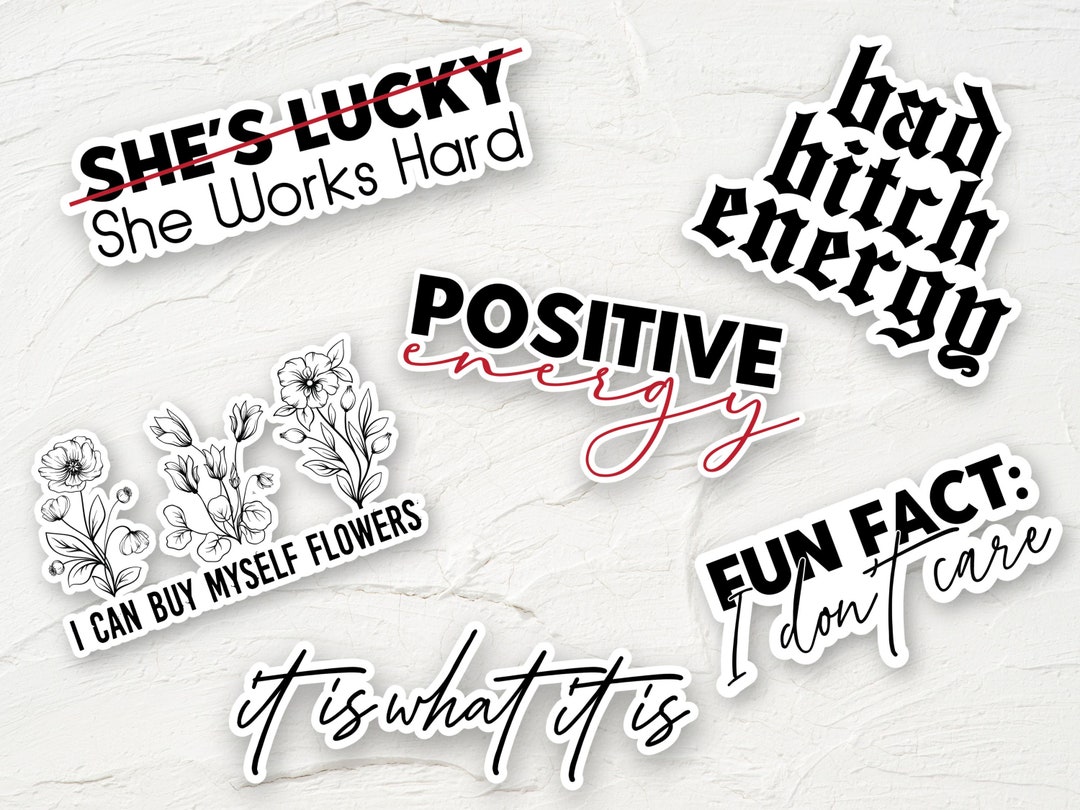 Bundle of 6 Cute Sassy Stickers for Silhouette and Cricut Crafting ...