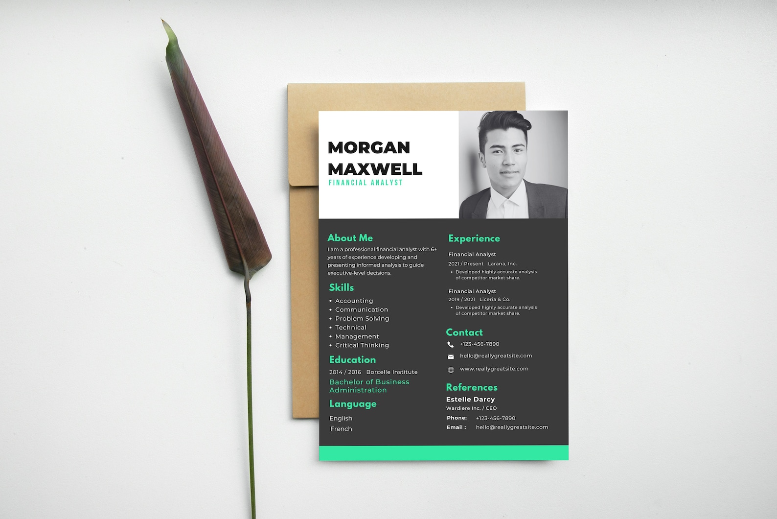 Financial Expert Resume Template With Photo, Canva Editable ...