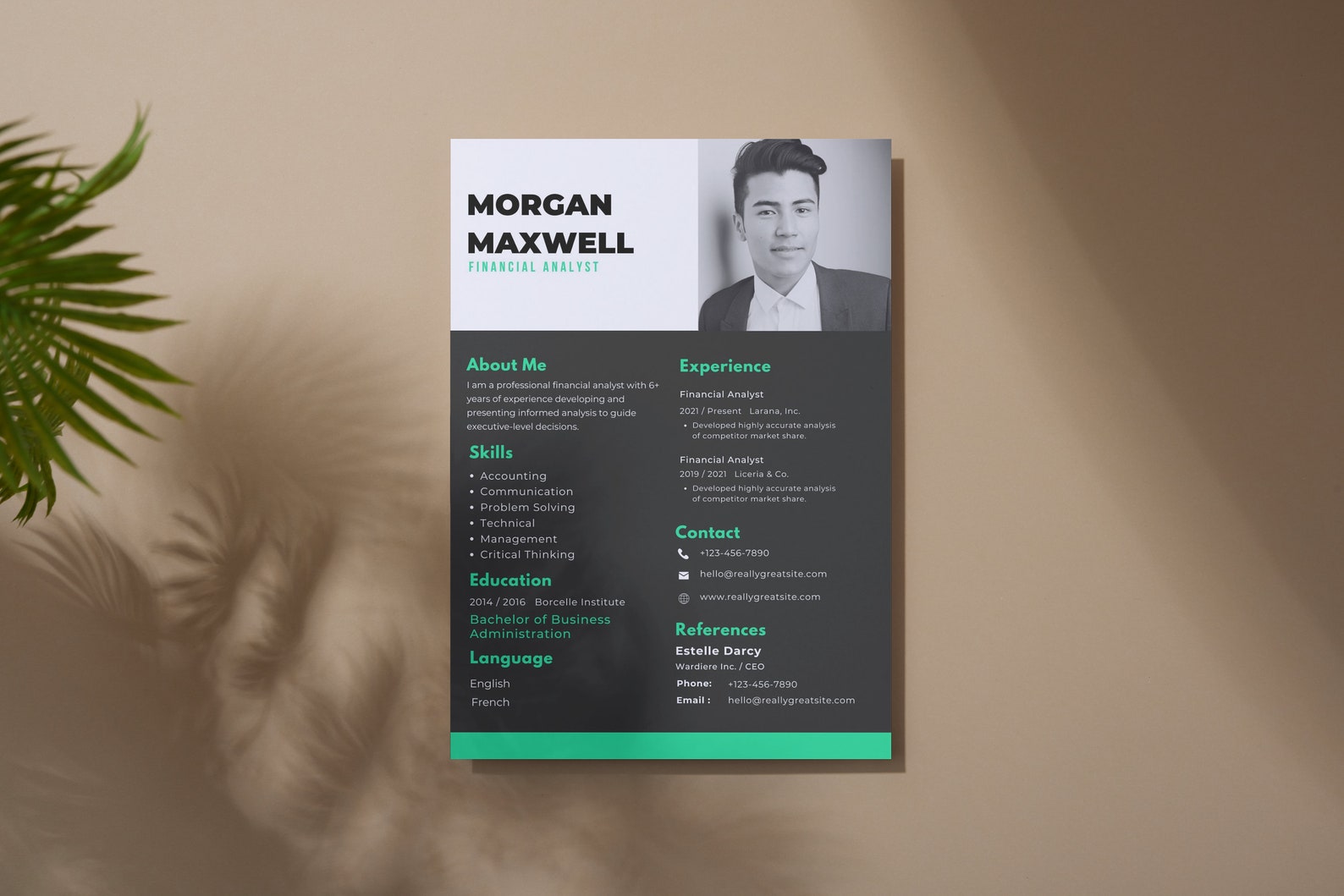 Financial Expert Resume Template With Photo, Canva Editable ...