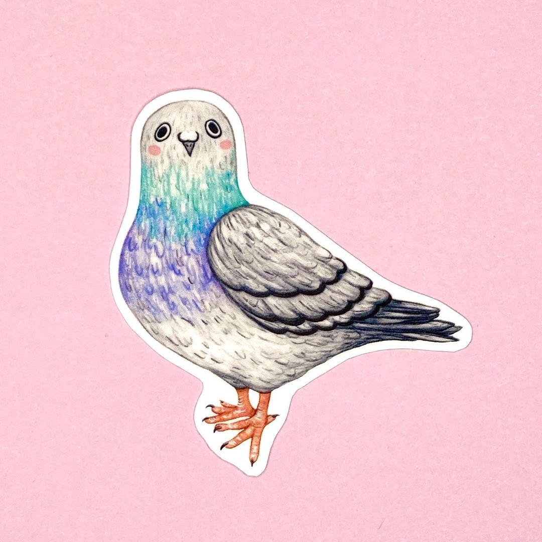 Pigeon Sticker, 3 Inch Stickers, UK Wildlife Art, Birdwatcher Gift ...