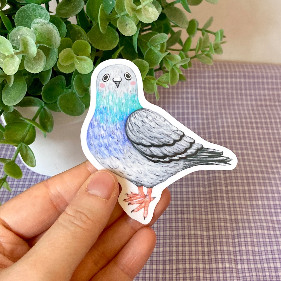 Pigeon Sticker, 3 Inch Stickers, UK Wildlife Art, Birdwatcher Gift ...