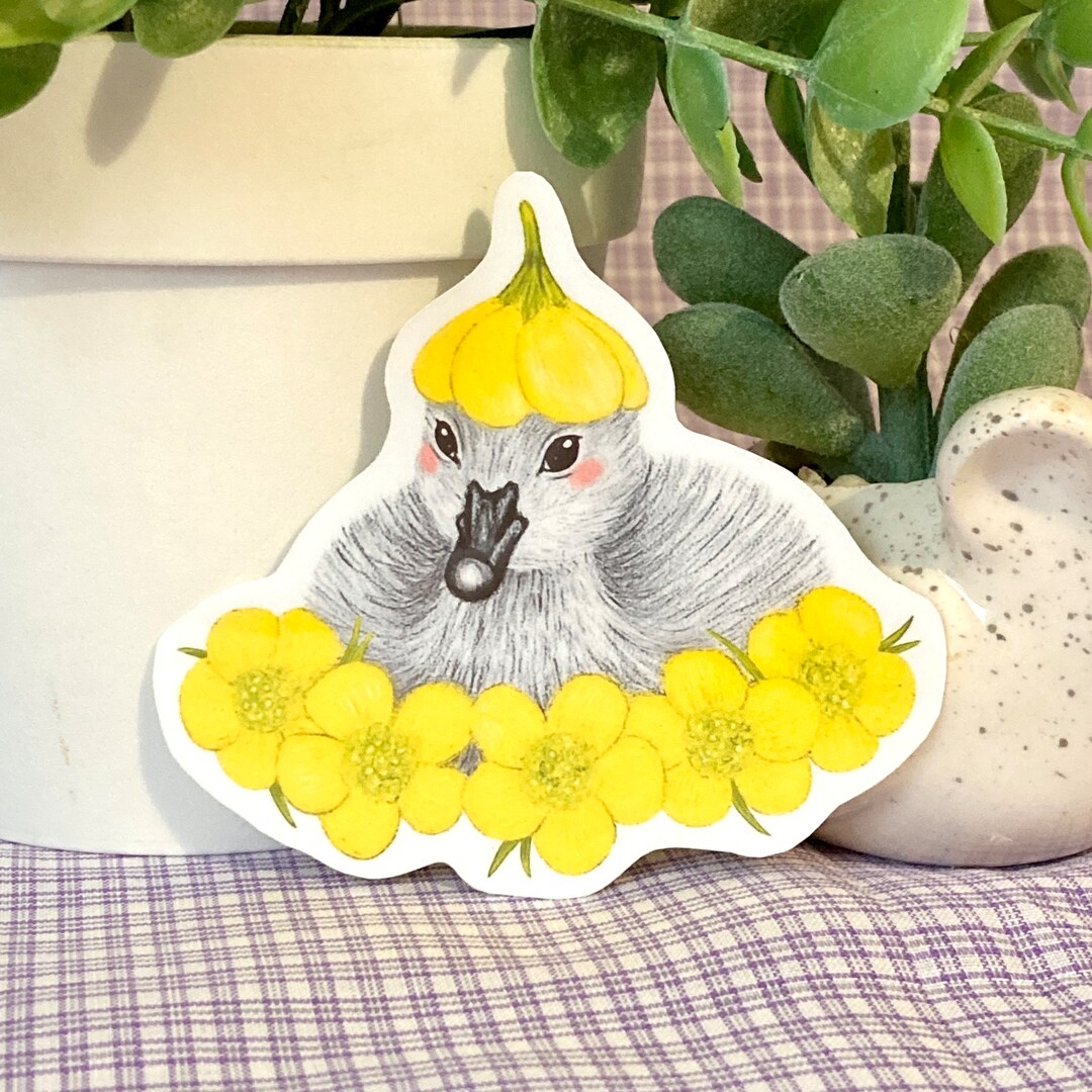 Baby Swan Sticker, 3 Inch Stickers, UK Wildlife Art, Flowers ...
