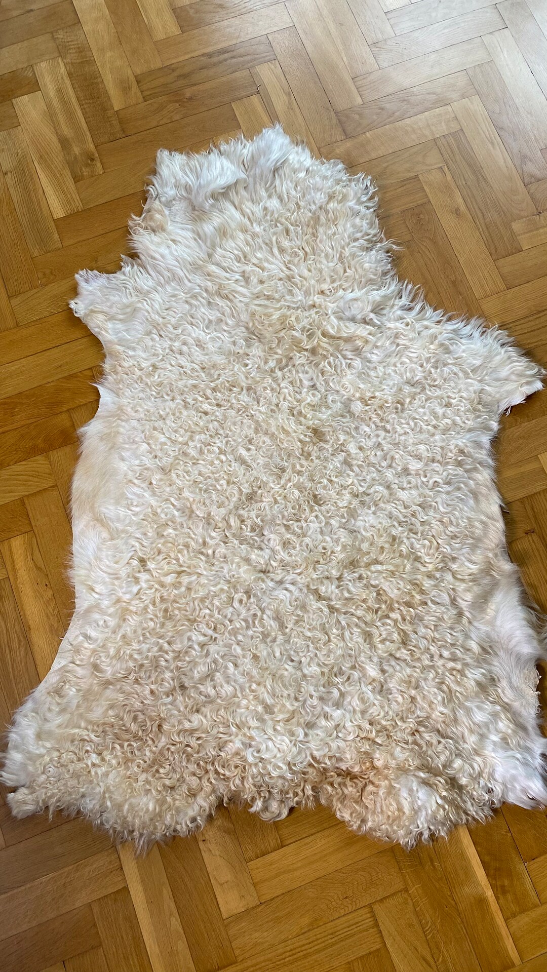 Authentic Mesopotamian Curly Sheepskin Pelt Natural Luxury With a ...