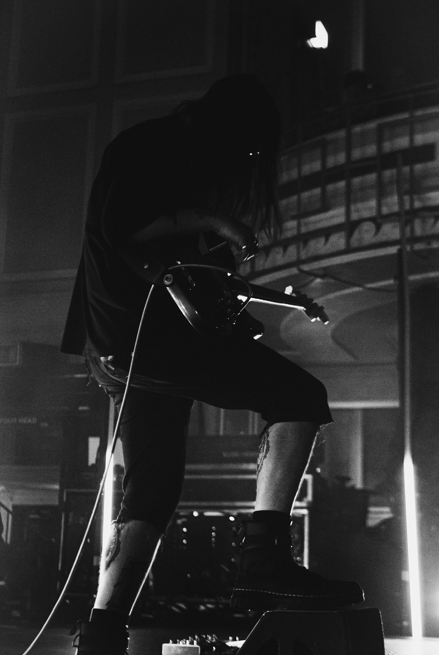 Ash Kabosu / Lovejoy High Quality Photographic Print - Etsy