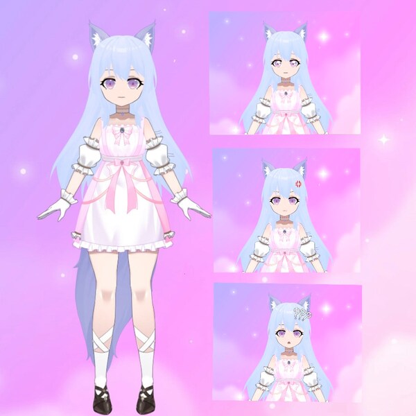 2d Vtuber Model - Etsy