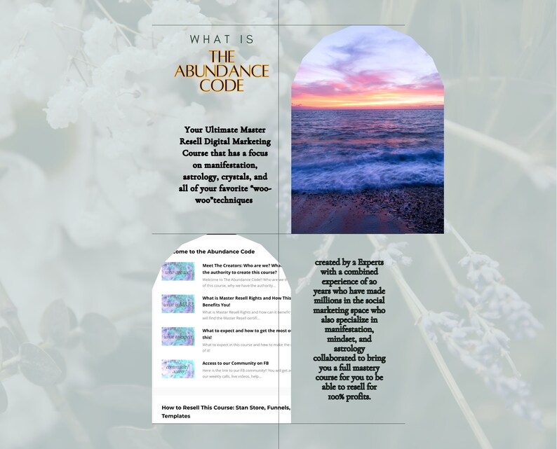 The Abundance Code- the Ultimate Digital Marketing Course W/master ...