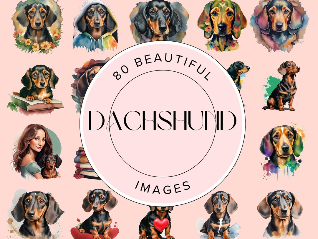 Dachshunds Watercolor Clipart Bundle 80 High-res PNG - Etsy Australia