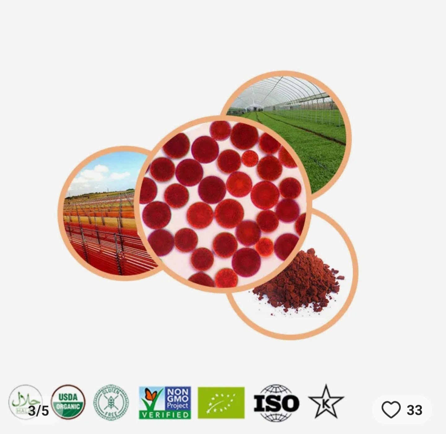 Astaxanthin Extract Powder, 100g, Contains 10% Astaxanthin - Etsy