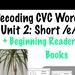 Phonics, Decoding, and Reading Comprehension Worksheets - Etsy