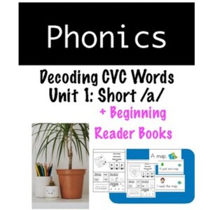 Phonics! Decoding CVC Words & Beginning Reader Books - Etsy