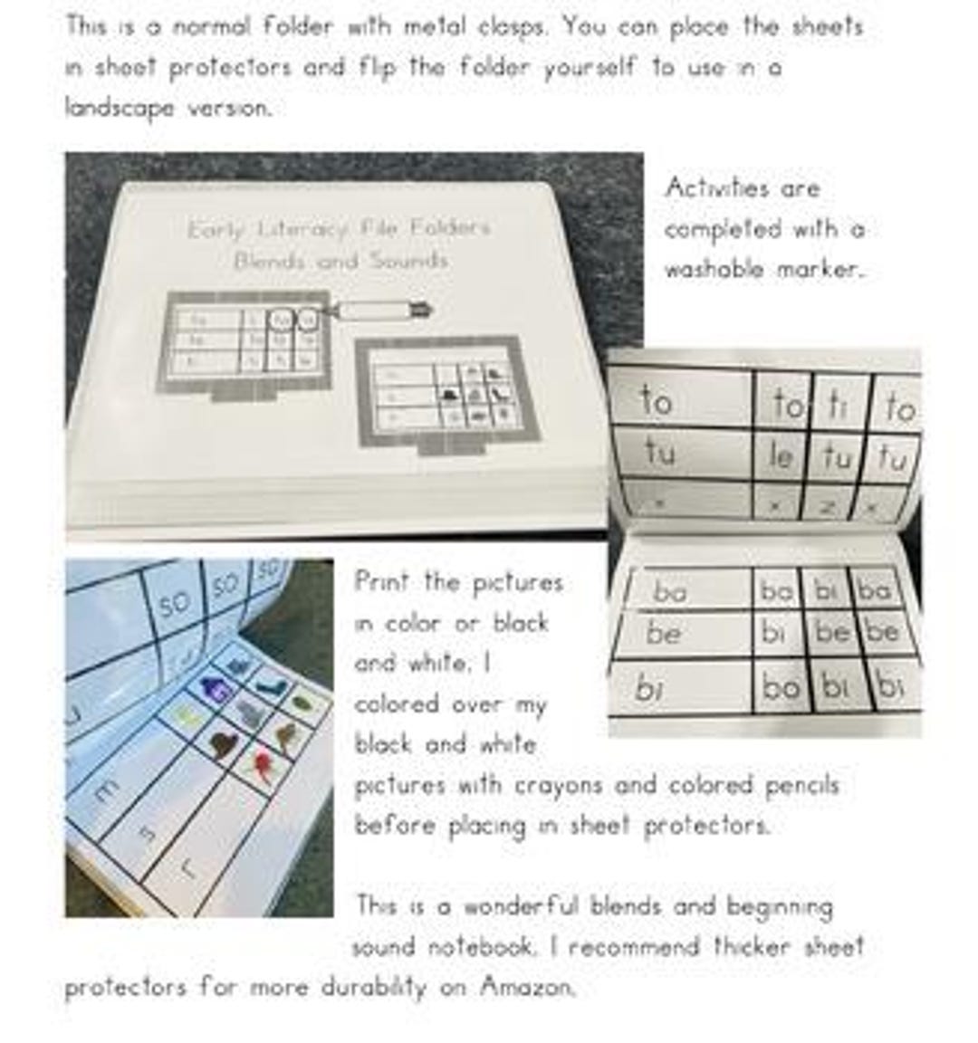 Phonics Intervention Binder - Etsy