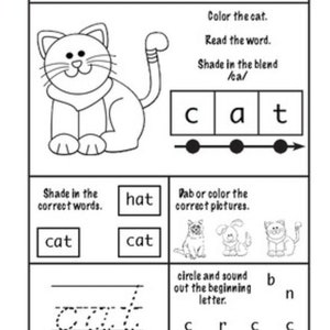 Phonics! Decoding CVC Words & Beginning Reader Books - Etsy