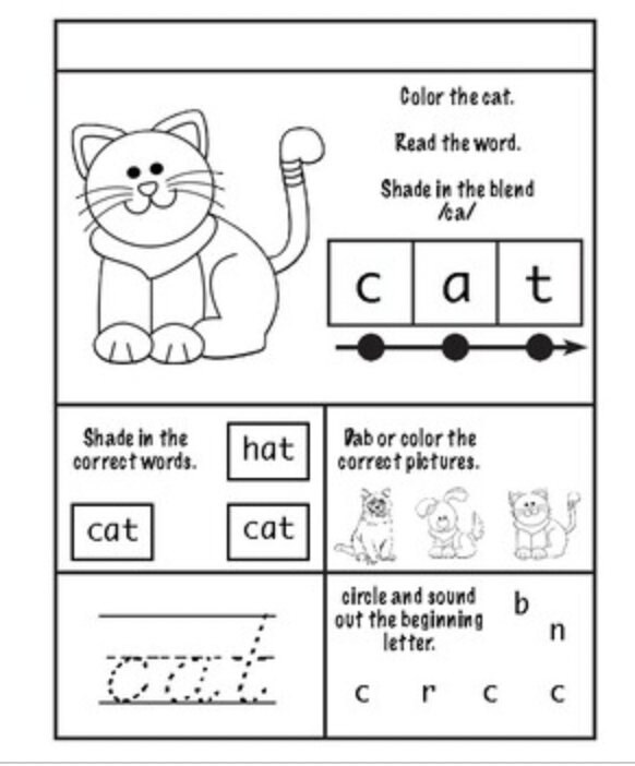 Phonics! Decoding CVC Words & Beginning Reader Books - Etsy