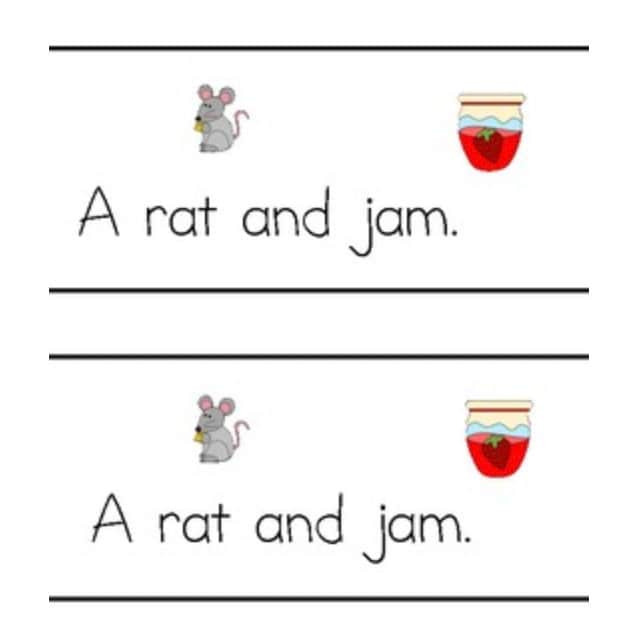 Phonics! Decoding CVC Words & Beginning Reader Books - Etsy