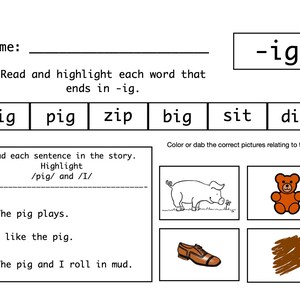 Phonics, Decoding, and Reading Comprehension Worksheets - Etsy