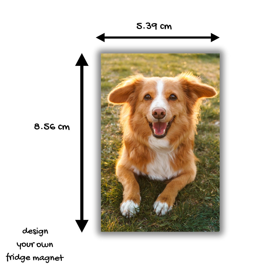 Fridge Magnets Design Your Own Photo Custom Magnets Photo Print Holiday ...