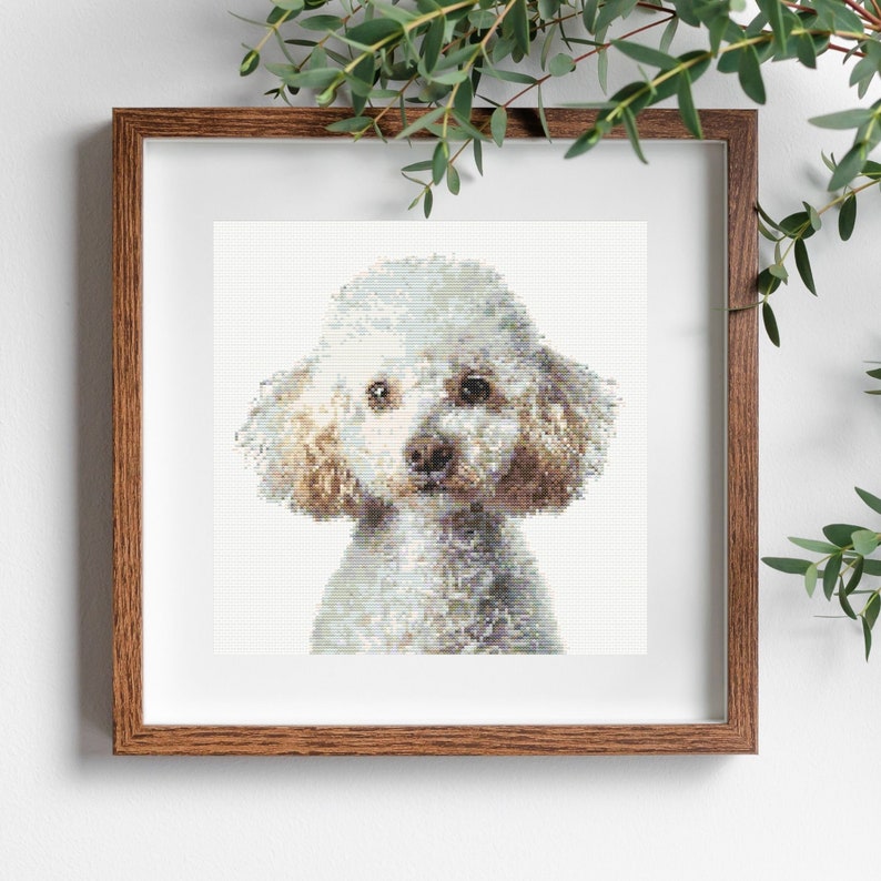 Toy Poodle Portrait Cross Stitch Pattern Downloadable PDF - Etsy