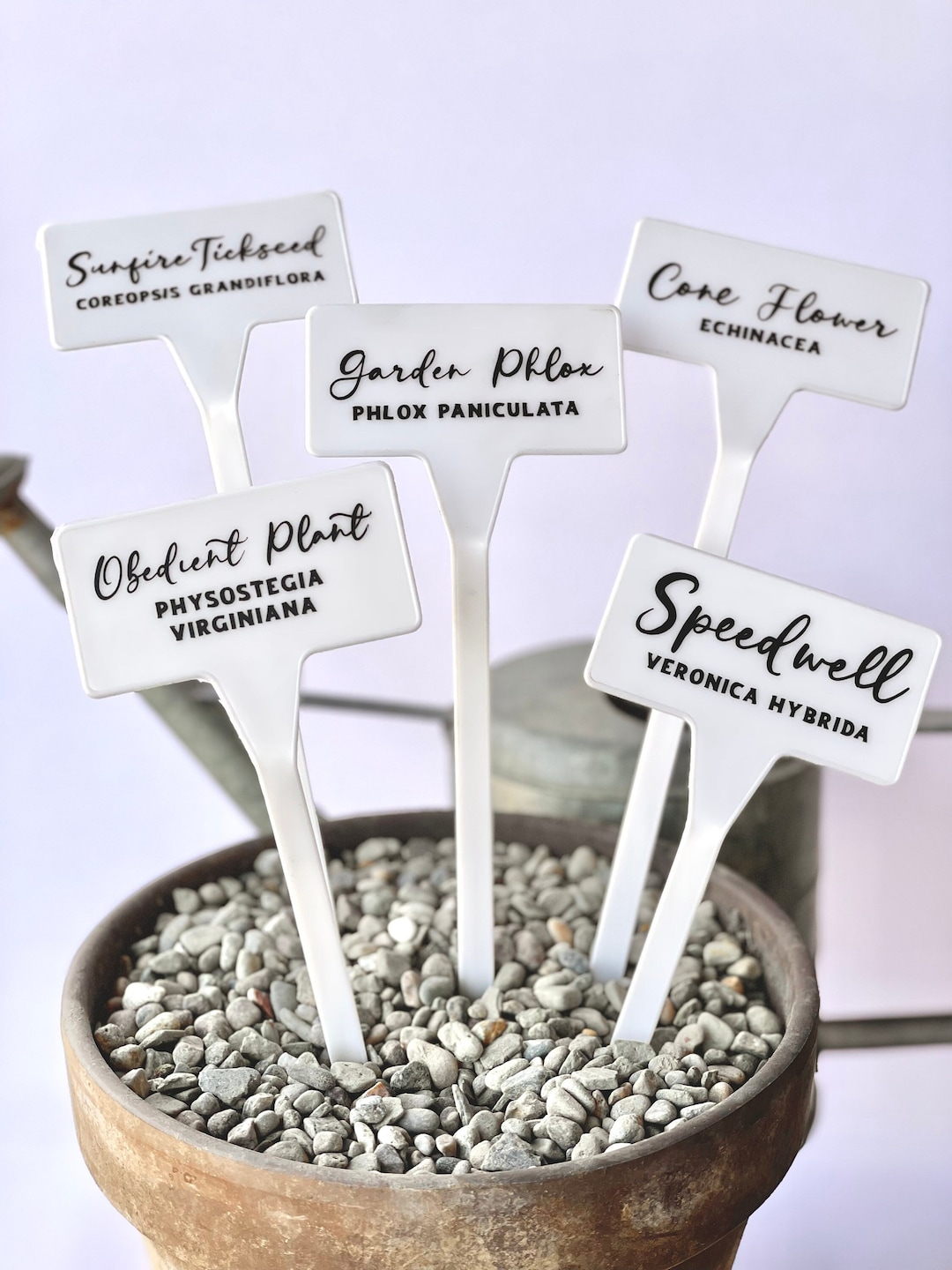 World's BEST Personalized Plant Markers. Free Shipping! - Etsy