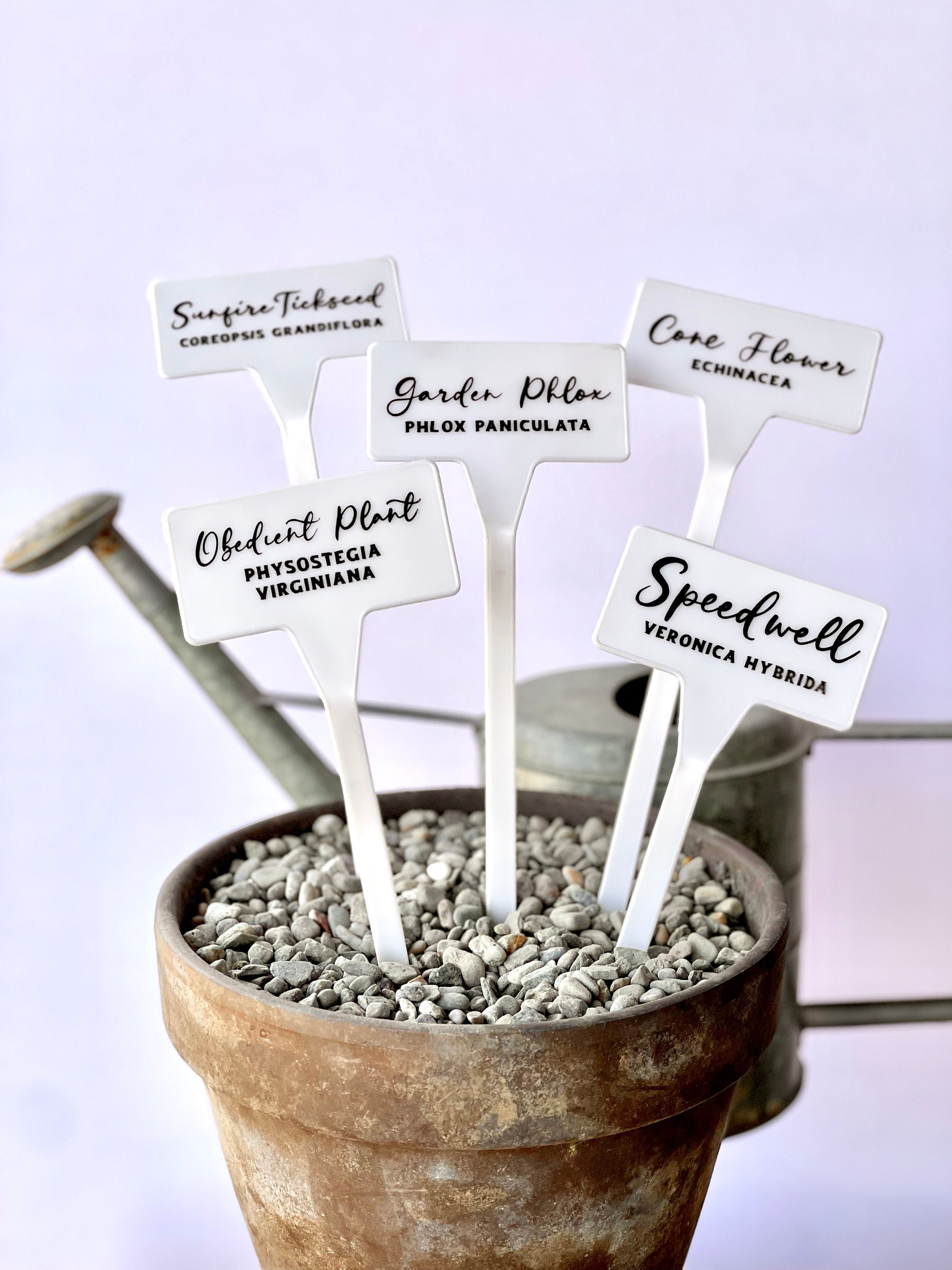 World's BEST Personalized Plant Markers. Free Shipping - Etsy