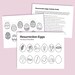 Resurrection Eggs Printable Activity - Etsy