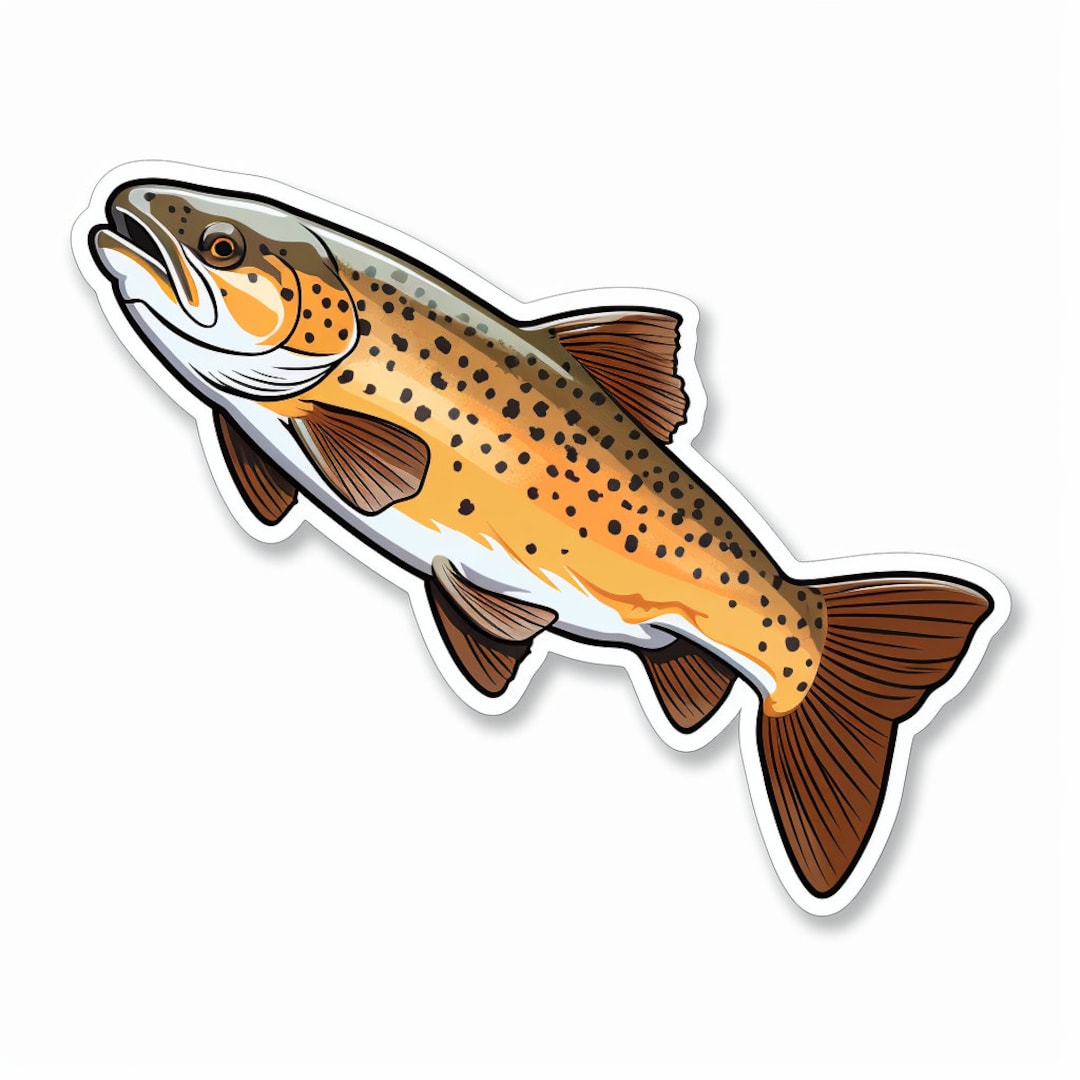 Brown Trout Sticker Decal Fish Fly Fishing Flies Art - Etsy