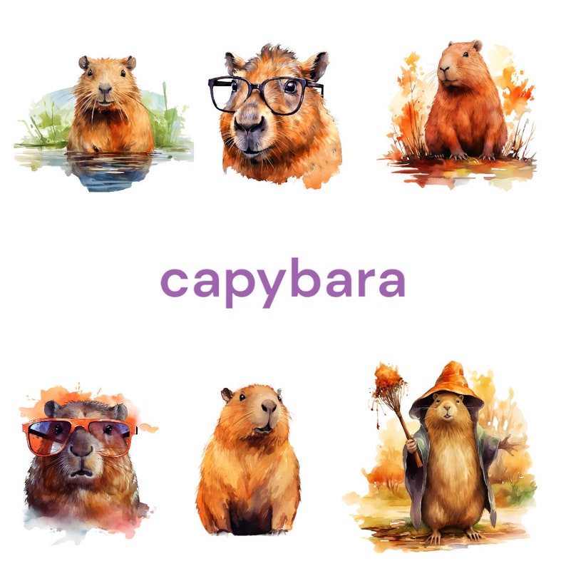20 Watercolor Capybara Clipart, Scrapbooking, Digital Journals ...