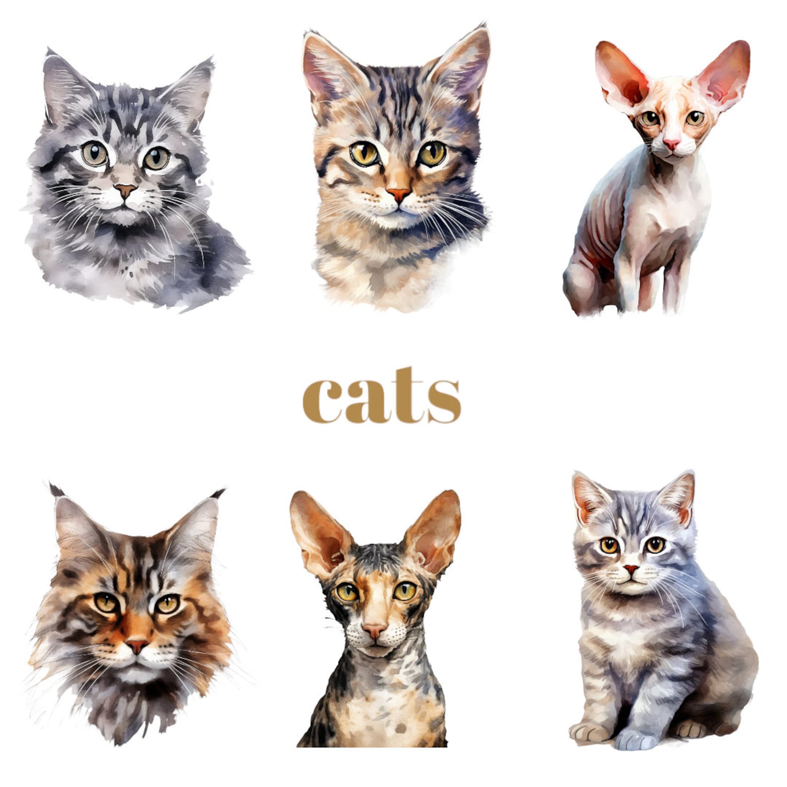 30 Watercolor Cat Breeds Clipart Cats Breeds Bundle, Cat Lover Gift ...