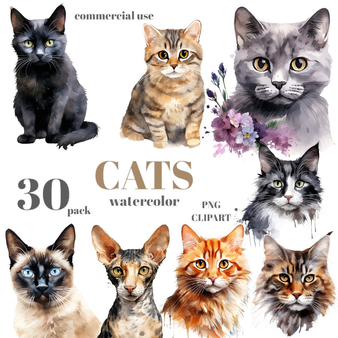 30 Watercolor Cat Breeds Clipart Cats Breeds Bundle, Cat Lover Gift ...