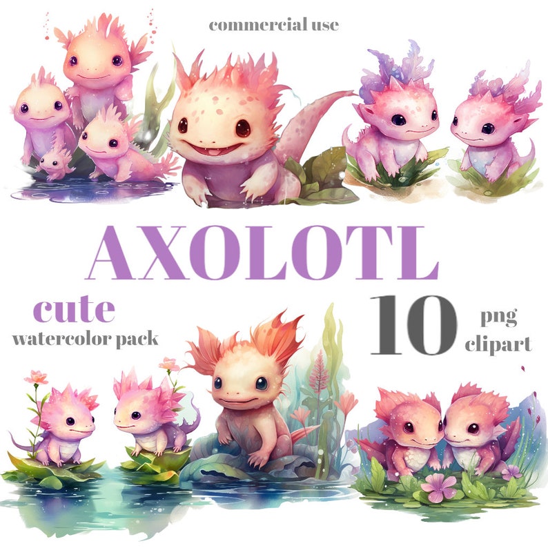 10 Watercolor Baby Axolotl Clipart PNG, Axolotl Clip Art, Commercial ...
