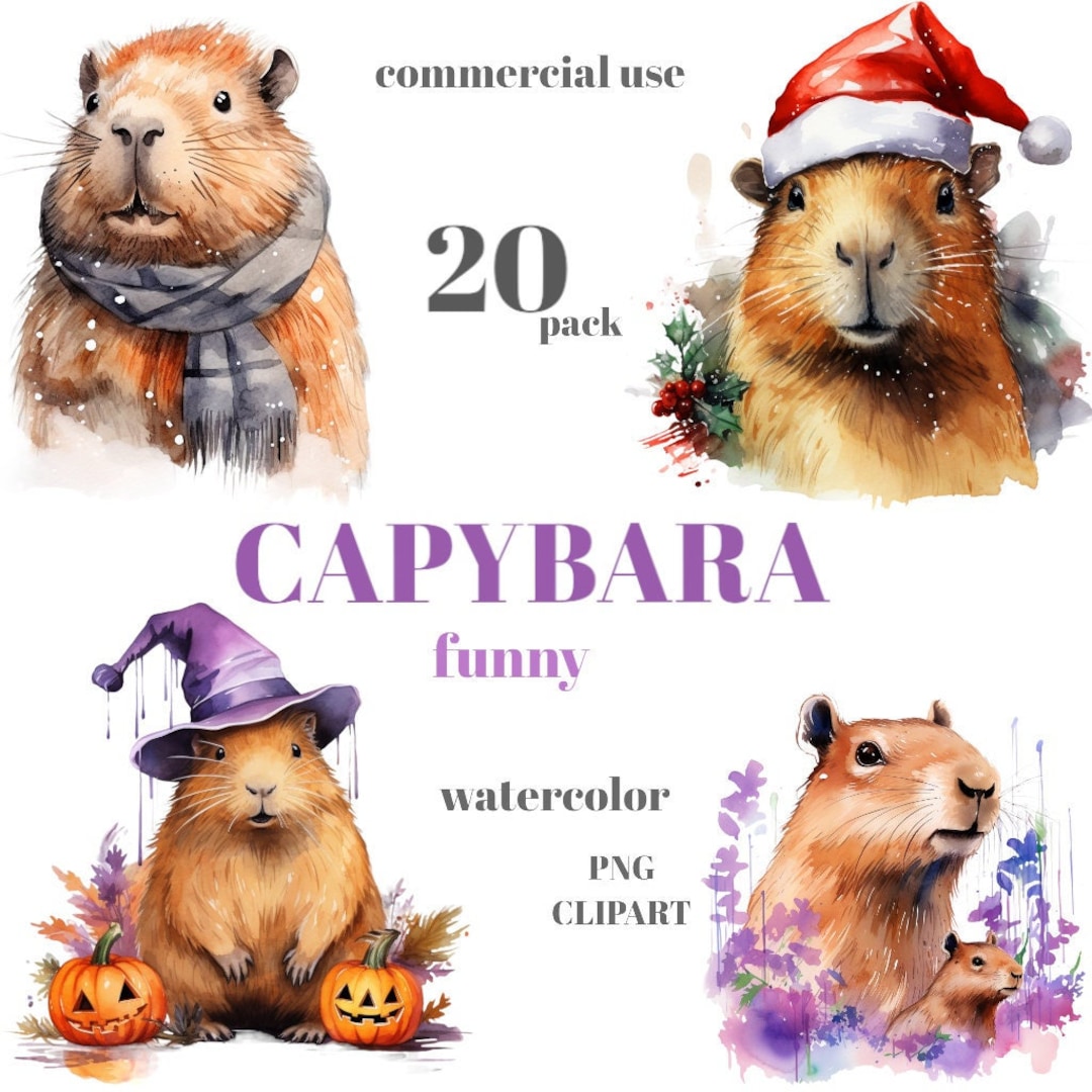 20 Watercolor Capybara Clipart, Scrapbooking, Digital Journals ...
