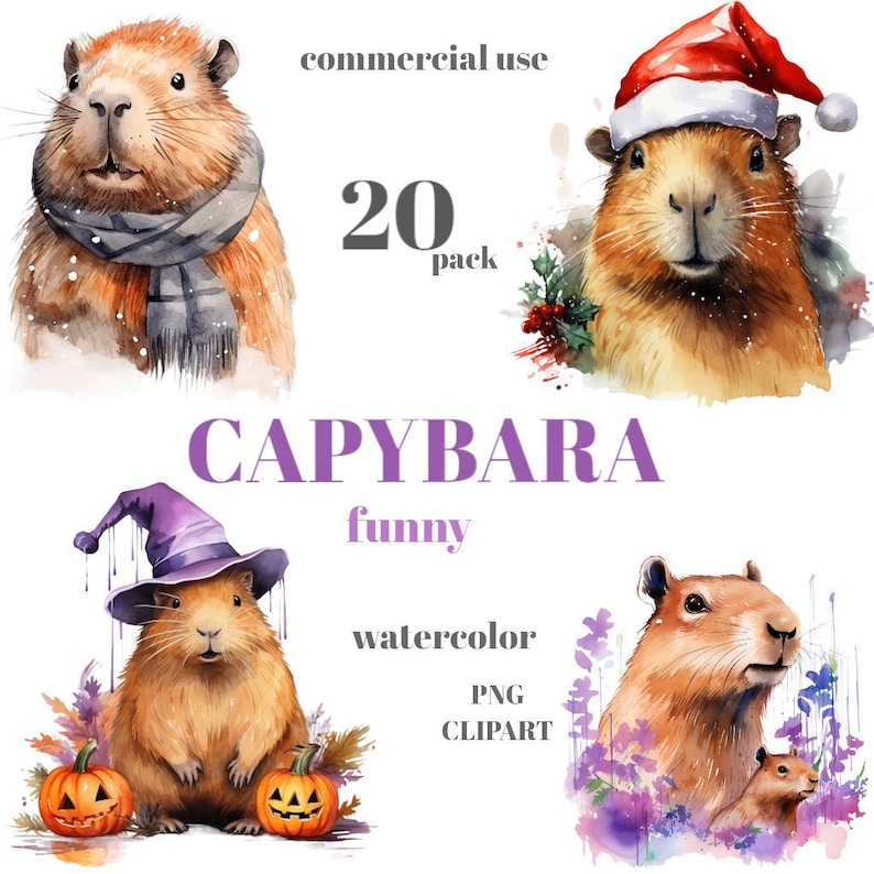 20 Watercolor Capybara Clipart, Scrapbooking, Digital Journals ...