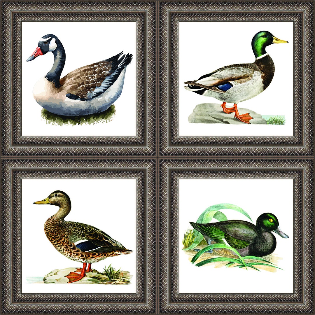 Duck Art Set of 4 Original Duck Art Prints Bird Wall Decor Ducks of ...