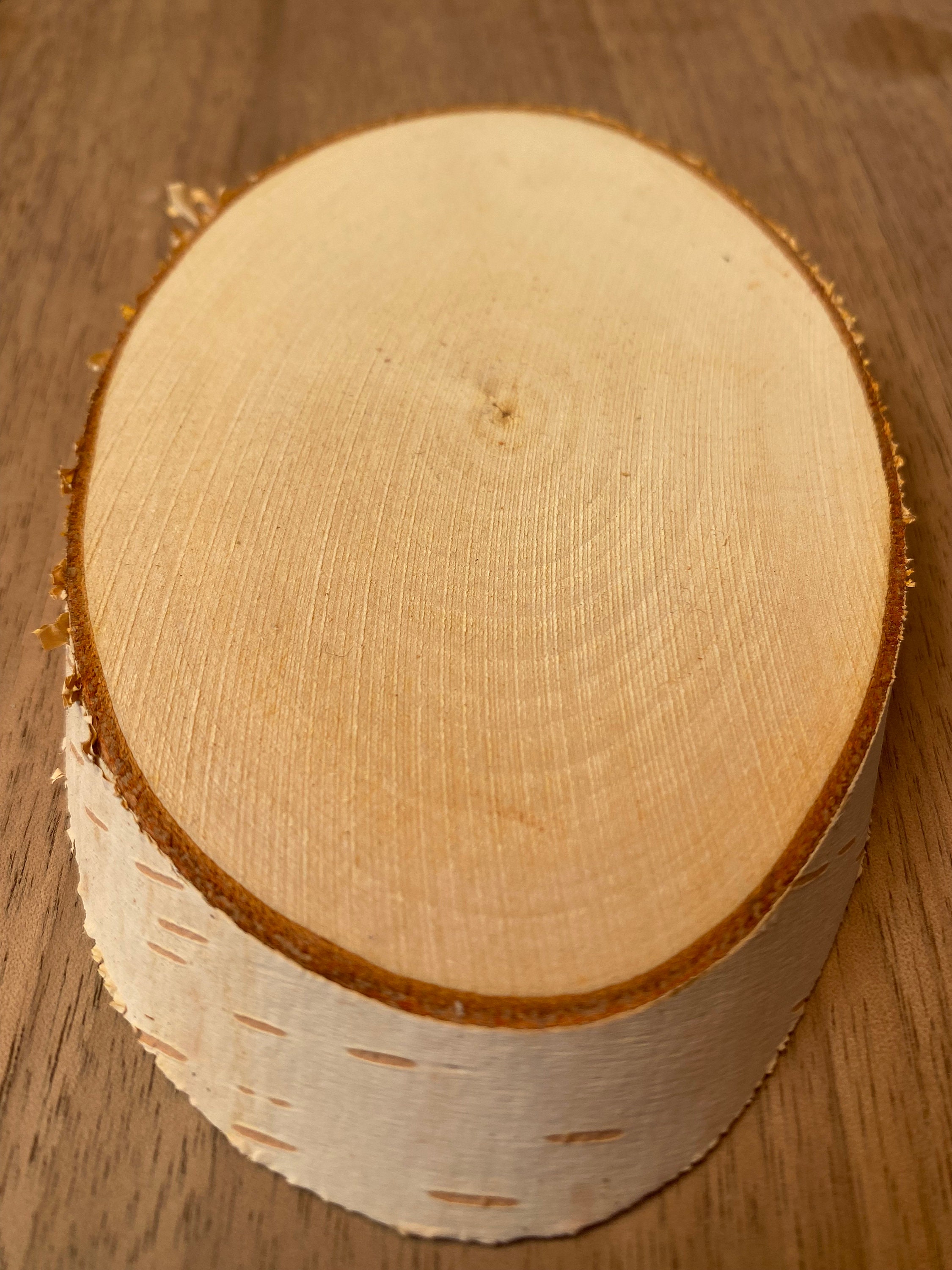 Birch Wood Slices - Etsy
