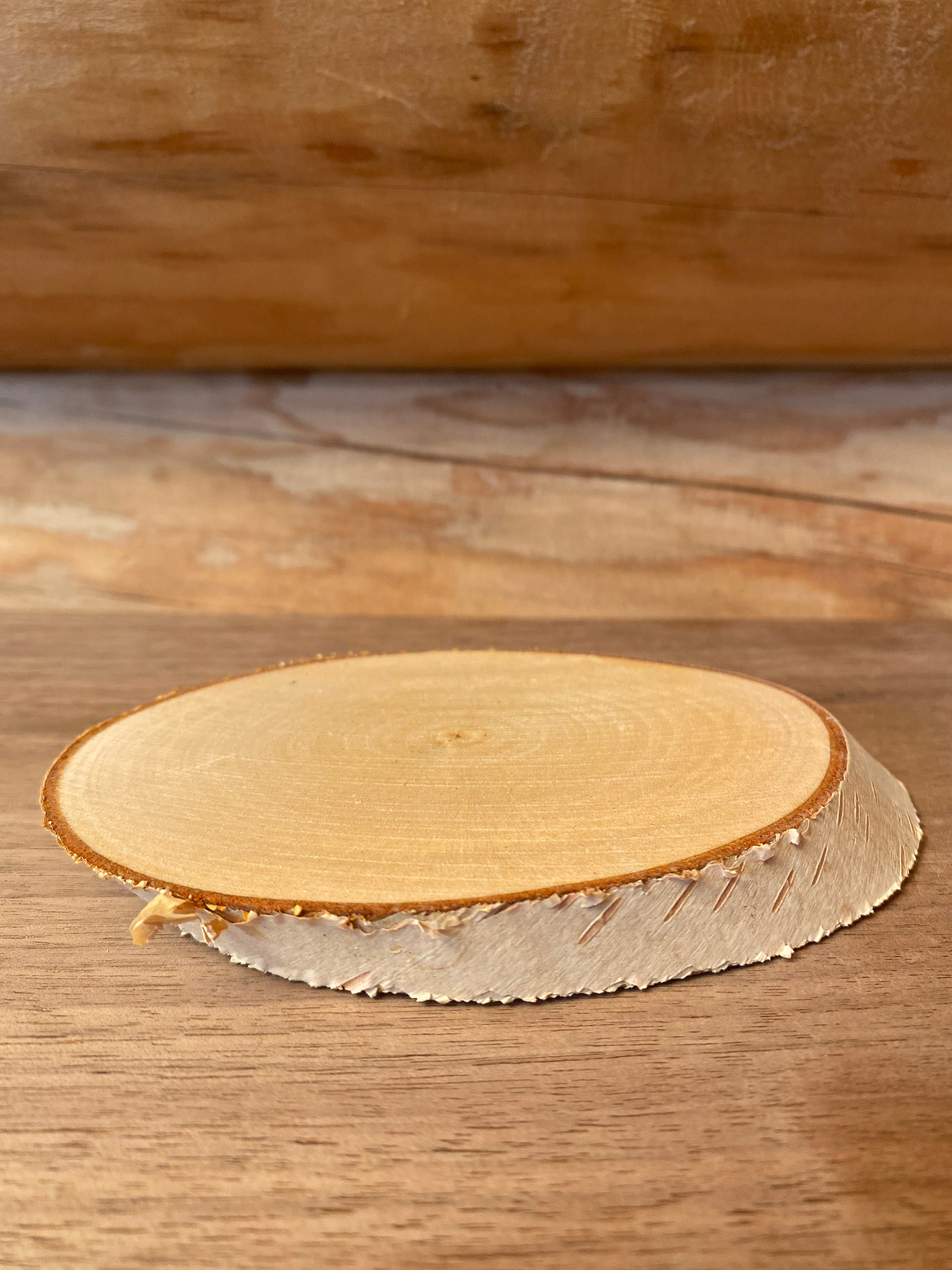 Birch Wood Slices - Etsy
