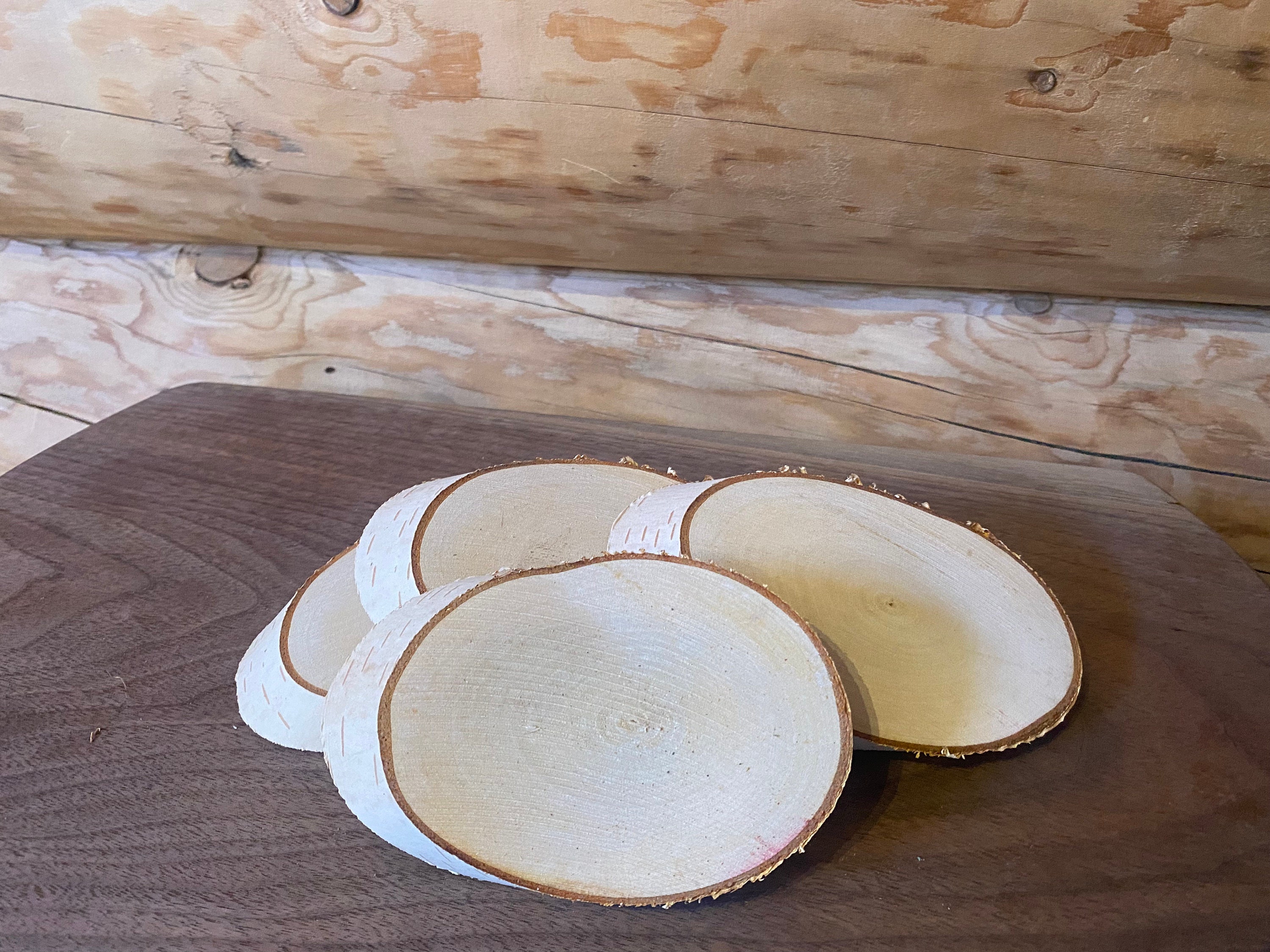 Birch Wood Slices - Etsy