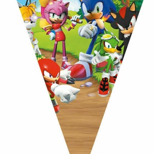 10 X Sonic the Hedgehog Themed Flag Banner Bunting Children's Birthday ...