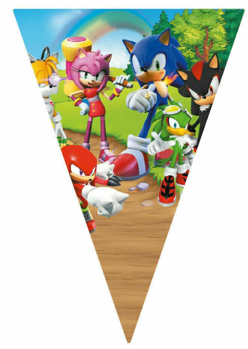 10 X Sonic the Hedgehog Themed Flag Banner Bunting Children's Birthday ...