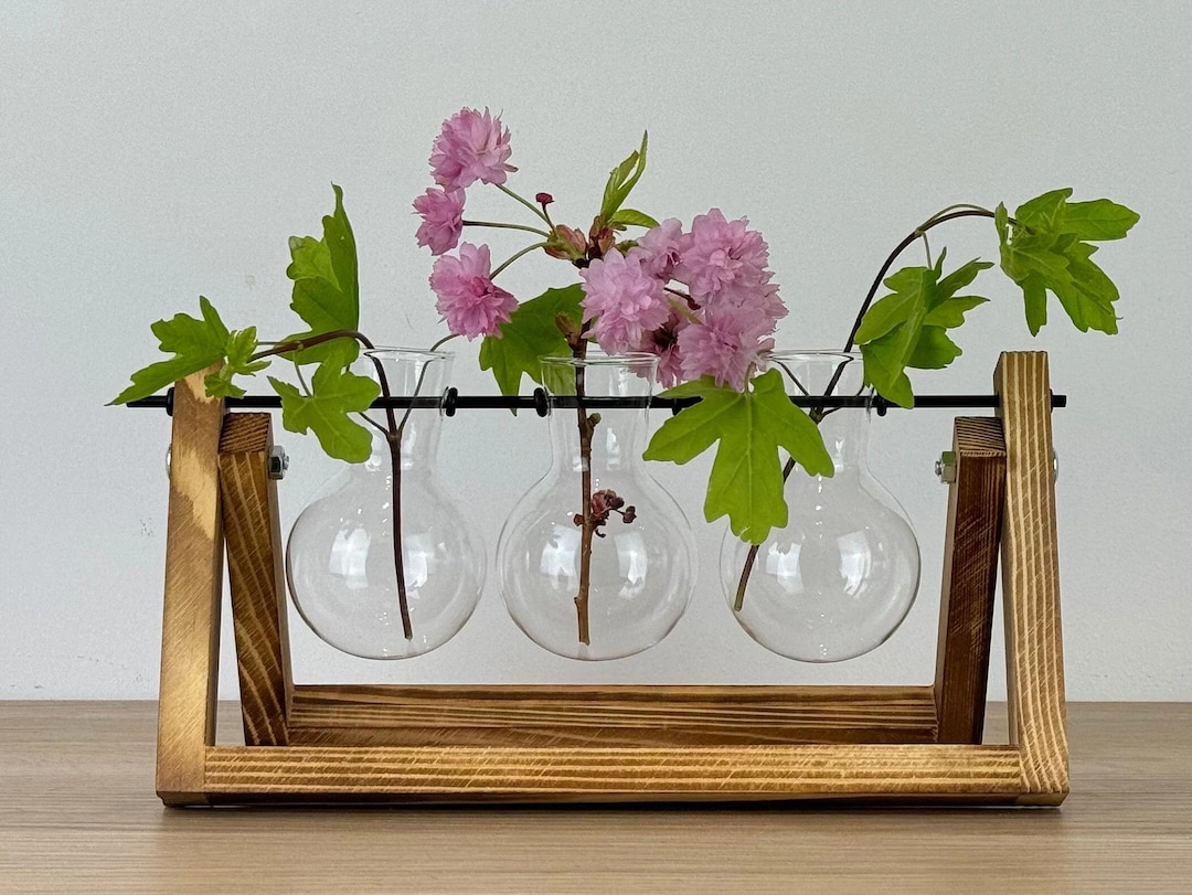 Hydroponic Glass Planter Propagation Home Decoration Decor Flowers ...