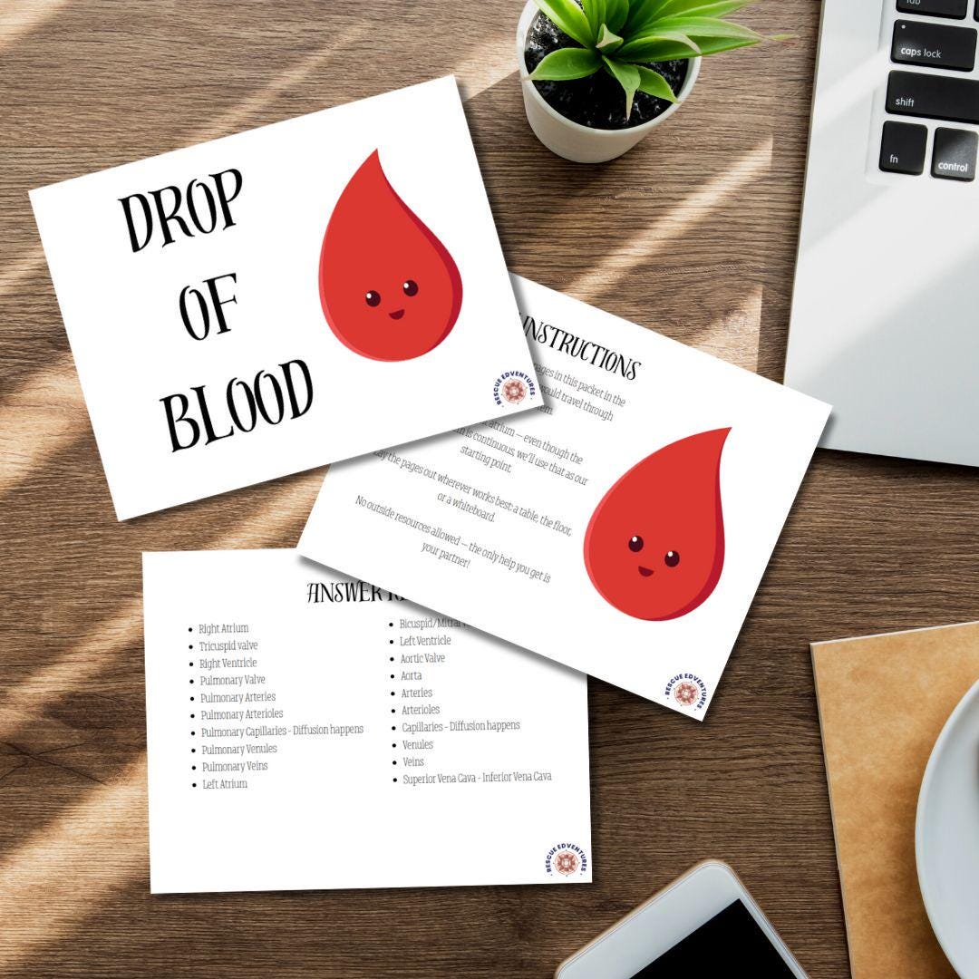 Drop of Blood Classroom Activity- Circulatory System - Etsy