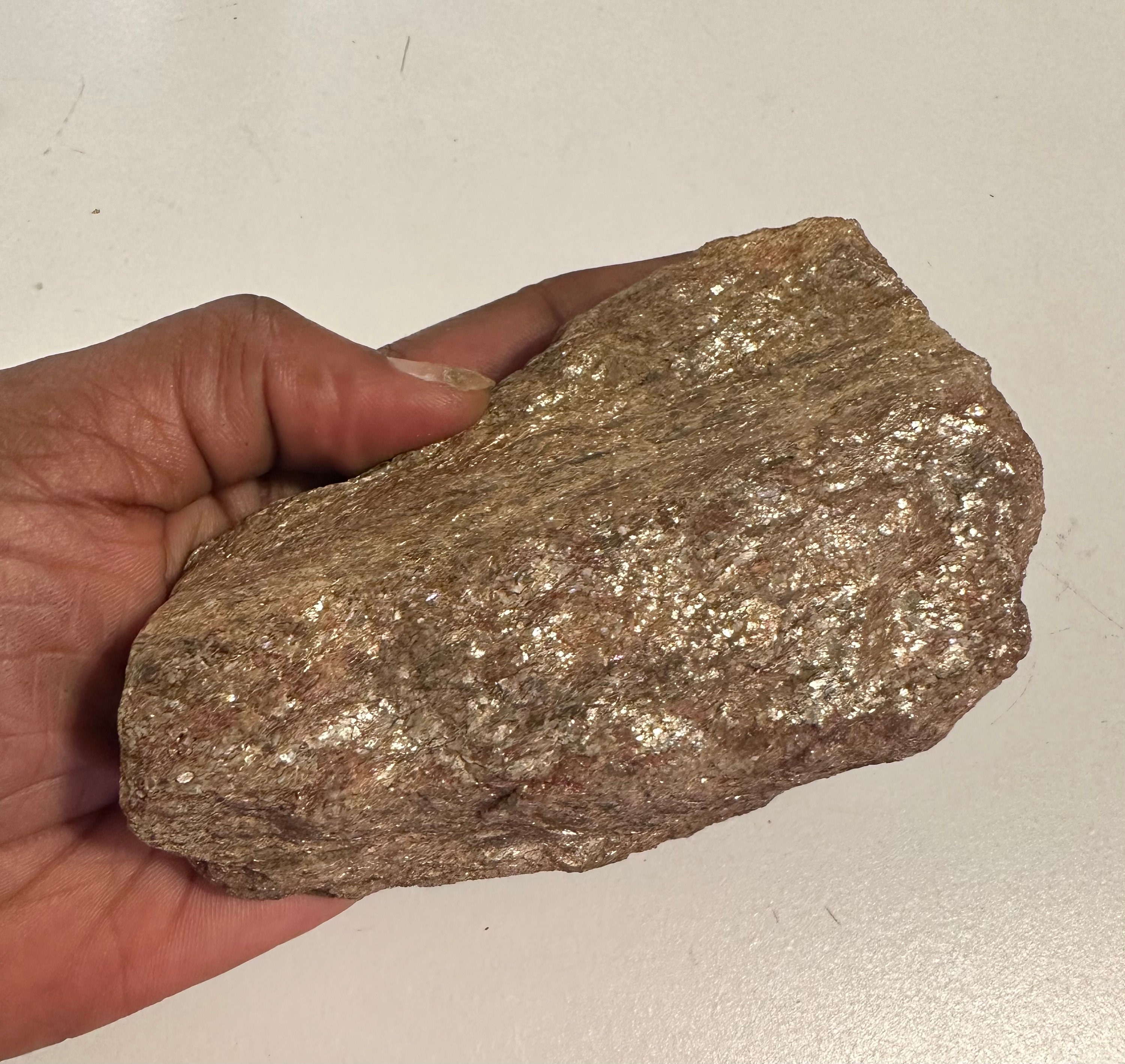 Uncommon Gold Colored Schist Rock Georgia 5 Inches - Etsy