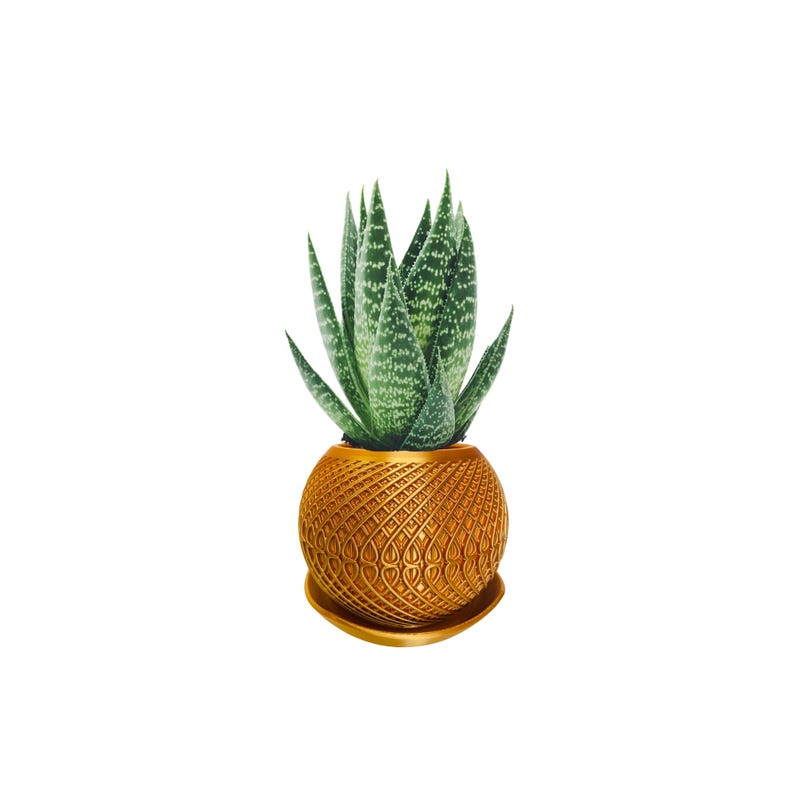 Unique Geometry Planter Pot, 5 Colors, 3D Printed Plant Pot With ...