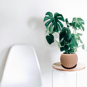 Unique Geometry Planter Pot, 5 Colors, 3D Printed Plant Pot With ...