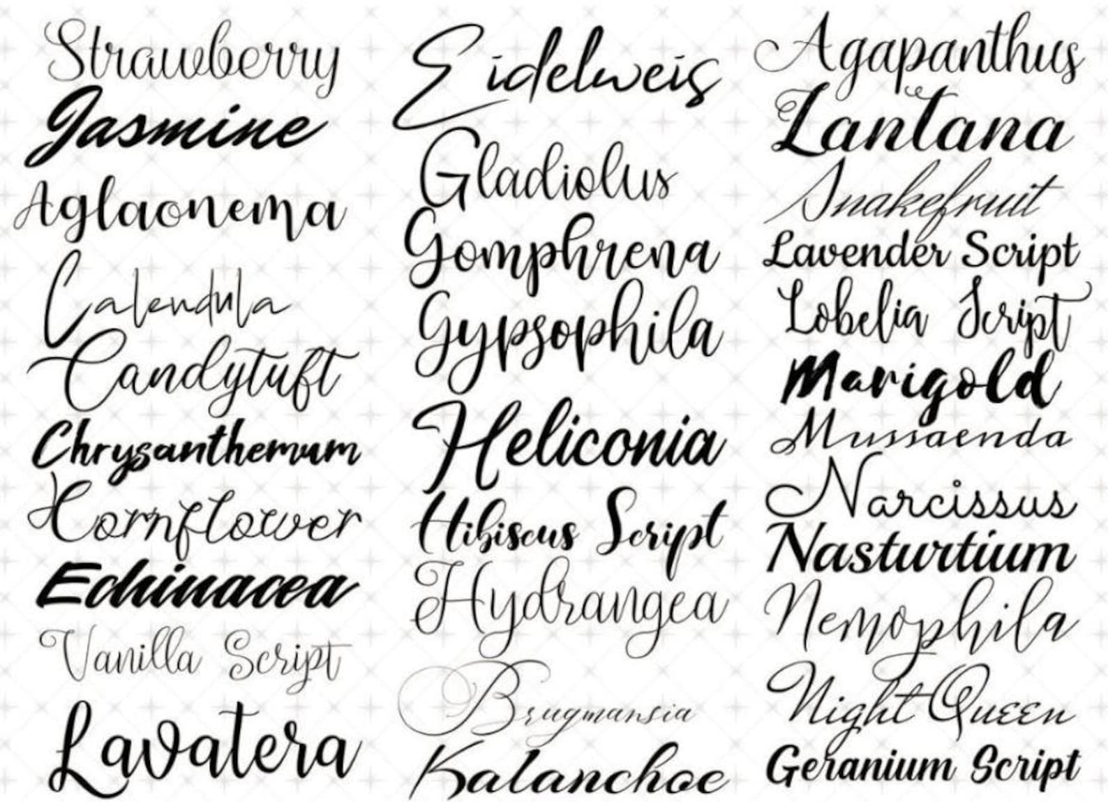 62 Fonts - Font Bundle, Valentine Font, Cricut, Wedding Font, Script ...