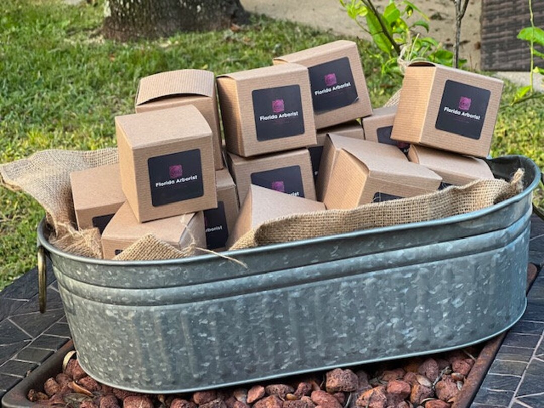 Tree Seed in a Box - Personalize for Business or Personal Events! - Etsy