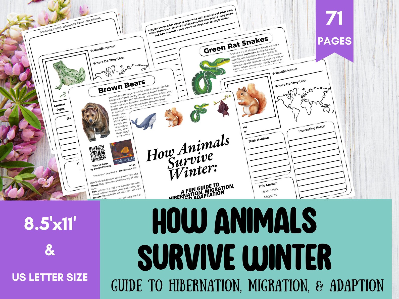 How Animals Survive Winter - Etsy