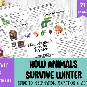 How Animals Survive Winter - Etsy
