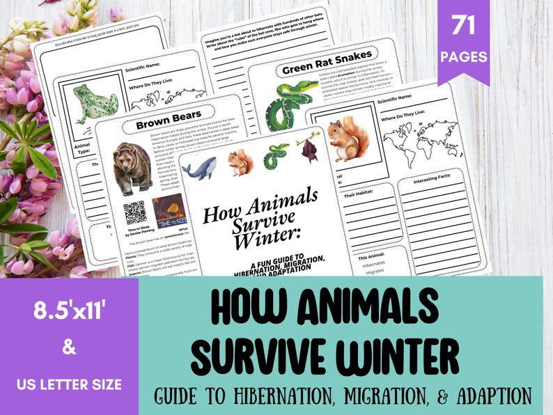 How Animals Survive Winter - Etsy