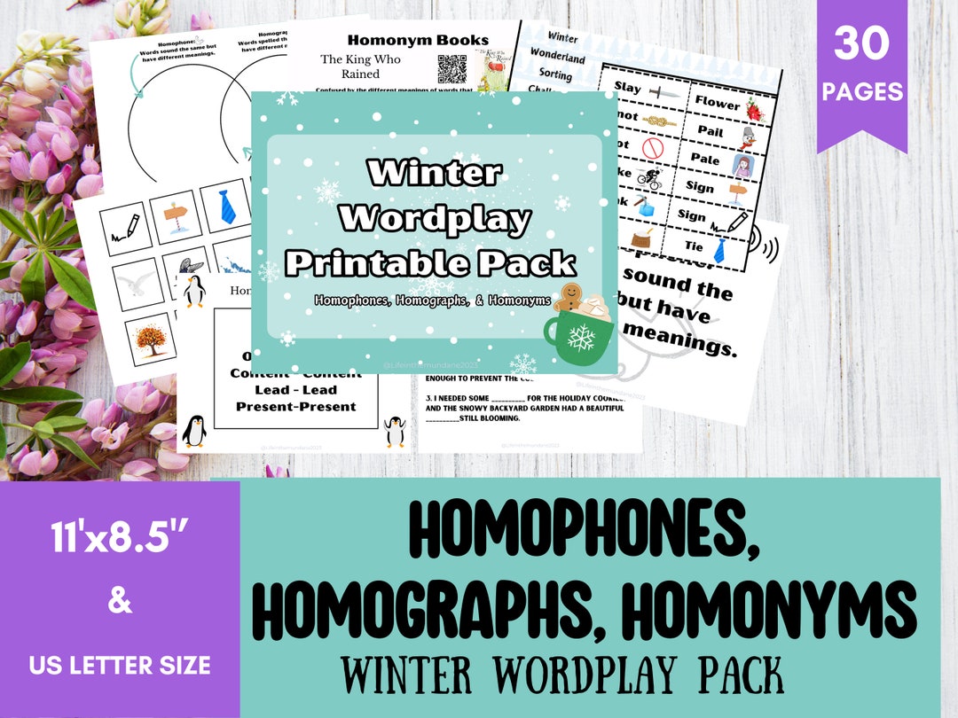 Winter Wordplay Printable Pack: Homophones, Homographs, & Homonyms - Etsy