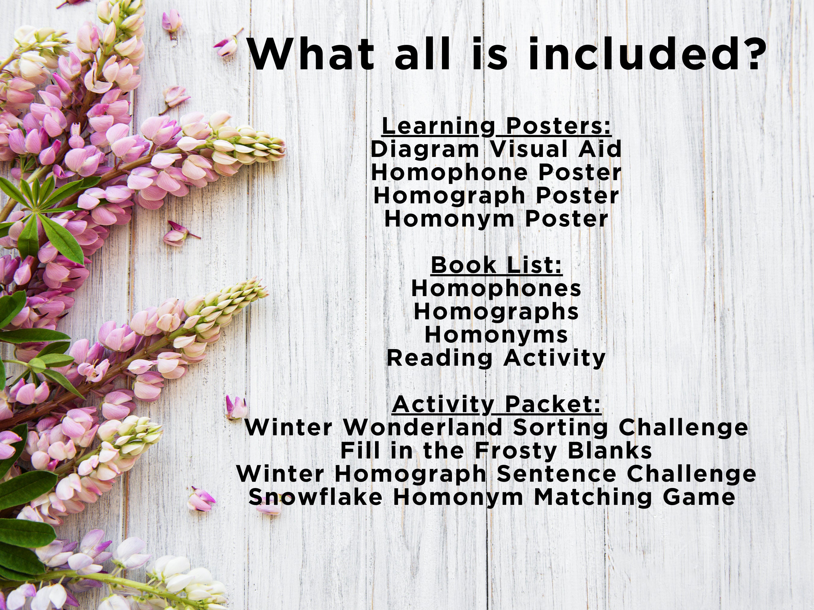 Winter Wordplay Printable Pack: Homophones, Homographs, & Homonyms - Etsy