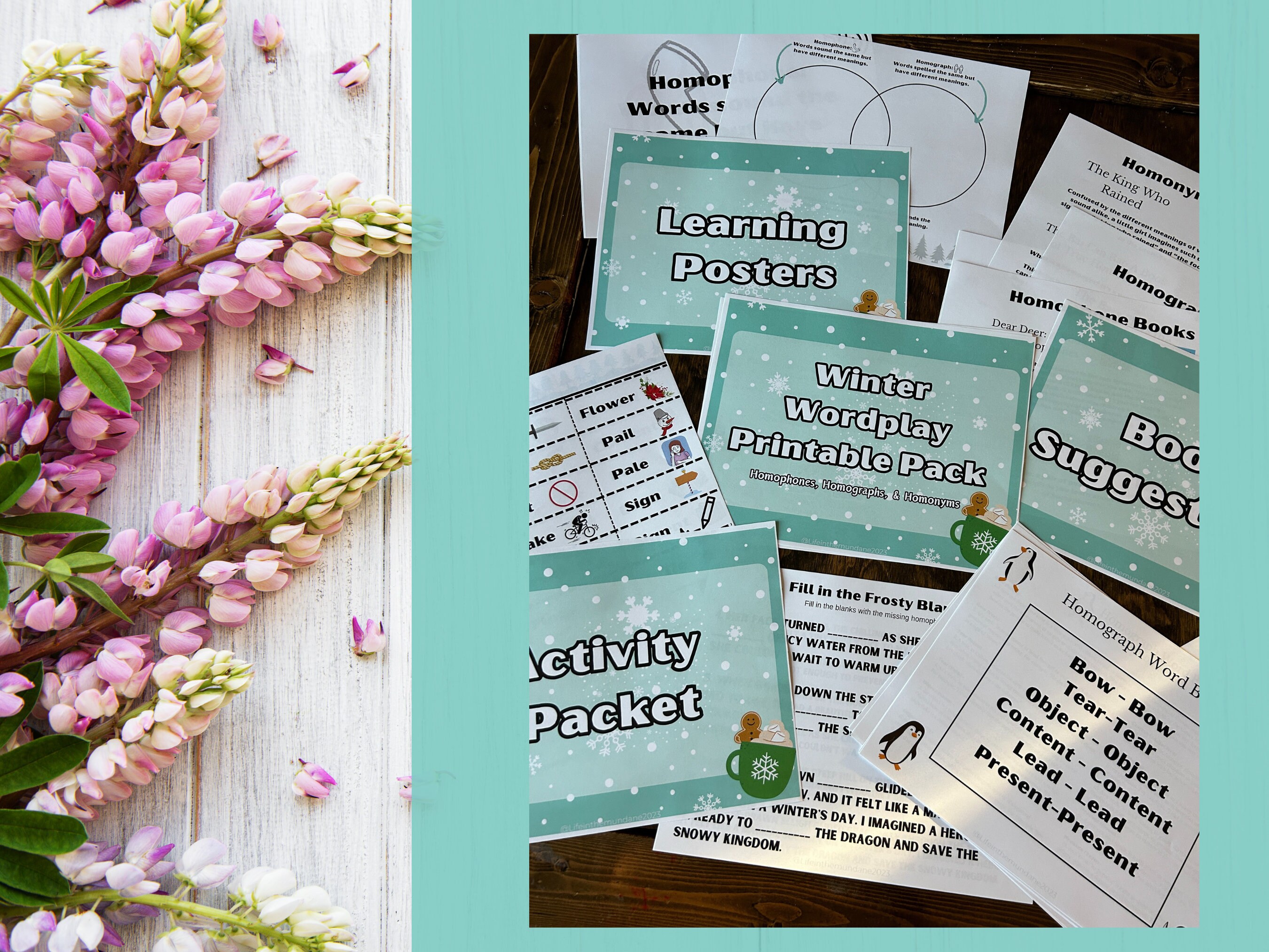 Winter Wordplay Printable Pack: Homophones, Homographs, & Homonyms - Etsy